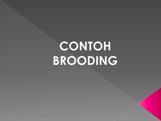 Broiler Brooding Management | PDF