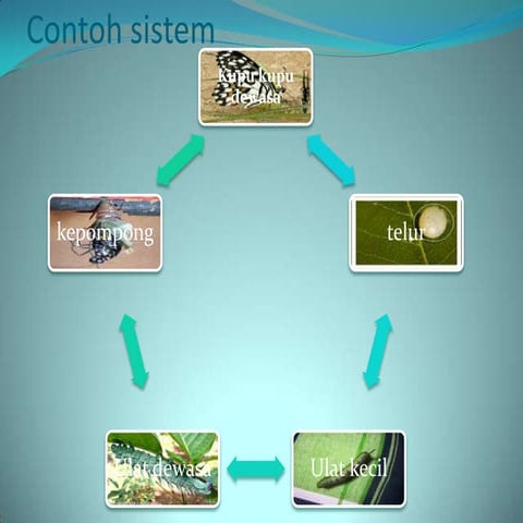 Contoh sistem | PPT