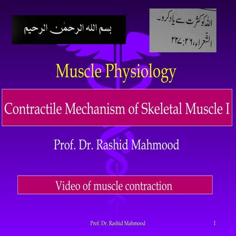 Mechanism of muscle contraction | PPTX