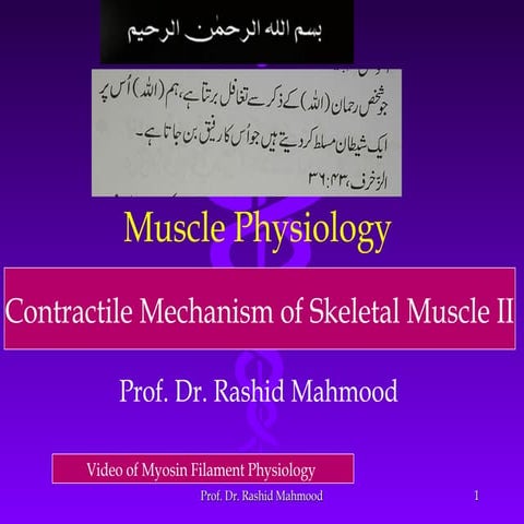 Contractile mechanism of skeletal muscle 2 | PPT