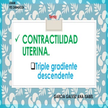 Triple Gradiente Descedente | PPTX