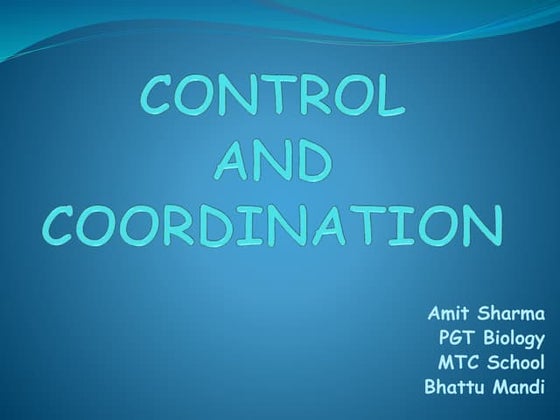 CONTROL AND COORDINATION class 10.ppt.pptx | Brain and Nervous System ...