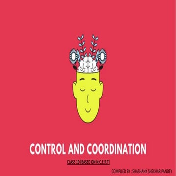 control and coordination class 10 biology | PPTX