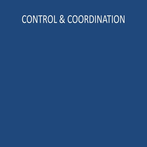 Control & coordination | PPT