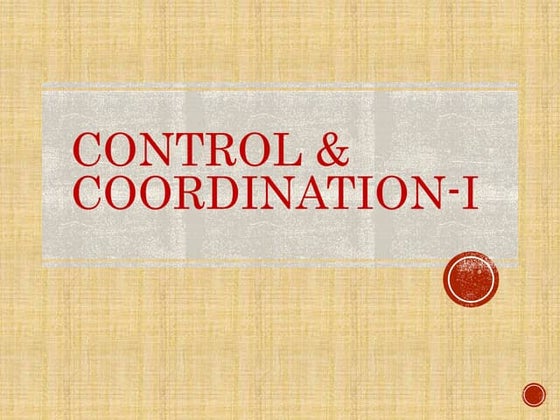 Neural Control And Coordination | PPT