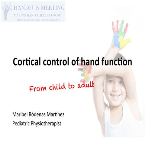 Cortical control of hand function | PDF
