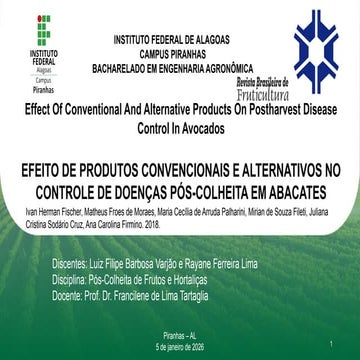 Plano de Desenvolvimento Individual - PDI | PDF