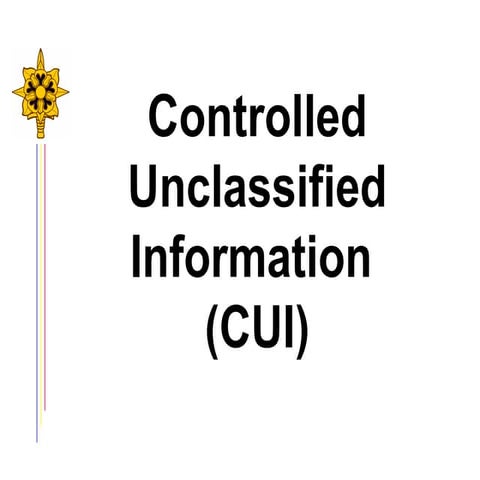 CUI Presentation.ppt