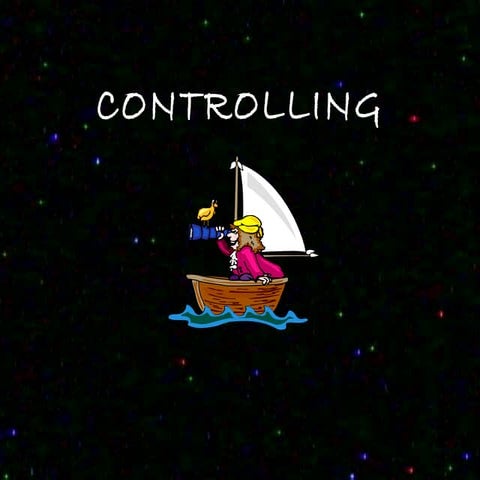 Controlling | PPT