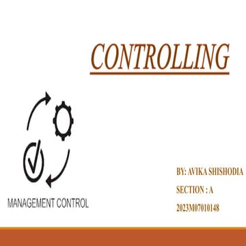 “Controlling in business management " | PPTX