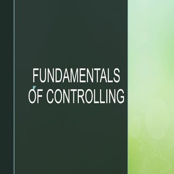 CONTROLLING IN MANAGEMENT MASTER IN BUSINESS | PPT