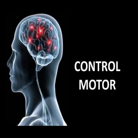 Control motor básico en inicios de biomecánica | PDF