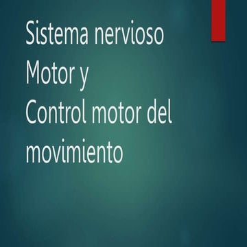 SN motor y Control_motor_del_movimiento.pptx