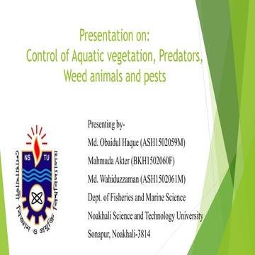 Nursery pond management of Fishes | PPT