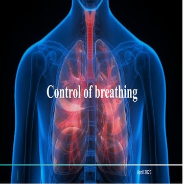Control of breathing Respiratory System | PDF