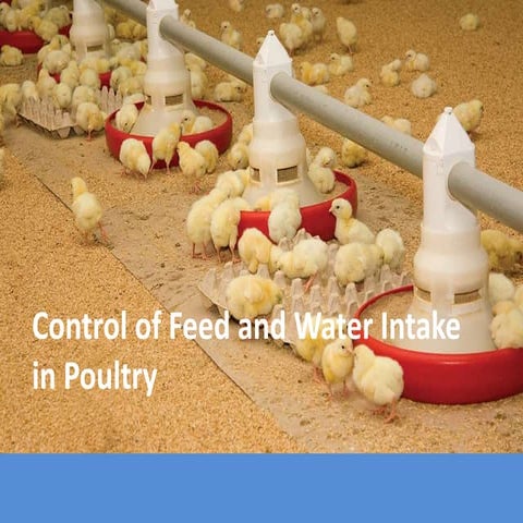 Control of feed and water intake in poultry | PPT