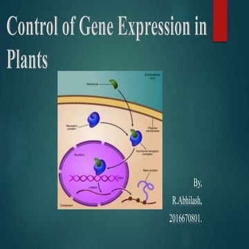 Control of gene expression in plants | PPTX