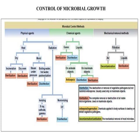 control of microbes.pptx