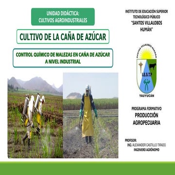 Control Químico de Malezas en Caña de Azucar .pdf