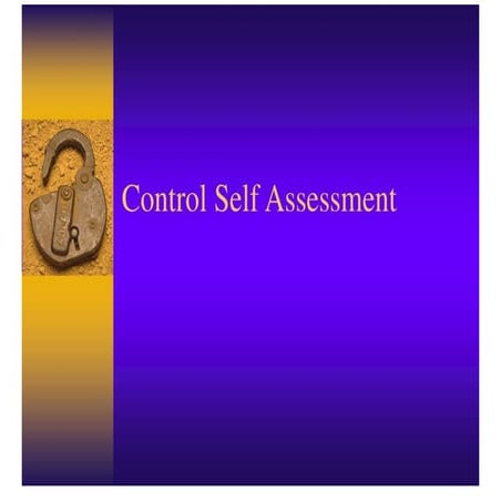 Control Self Assessment | PDF