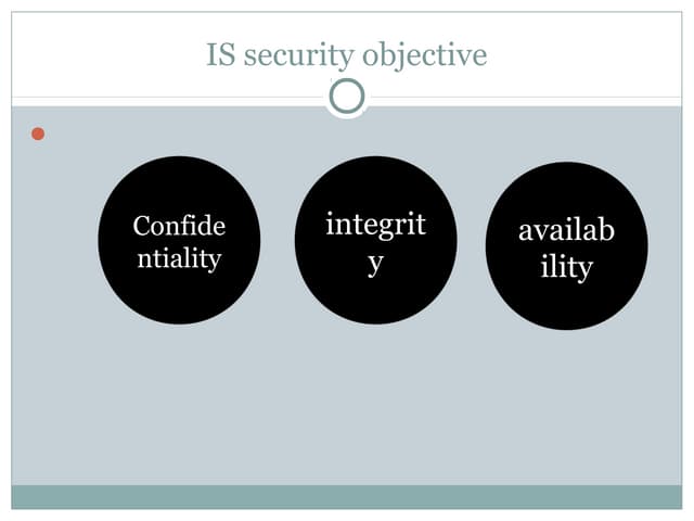 Controls In Information System controls-in-information-system