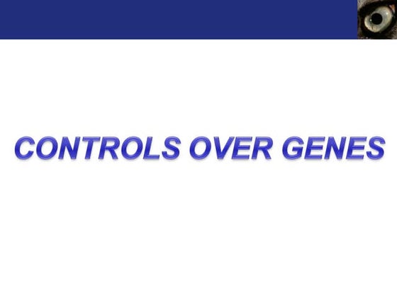 Classification_Matter_Flow_Chart.pdf