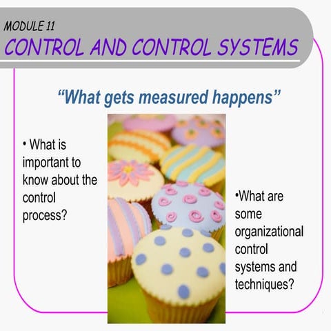 Control system | PPT