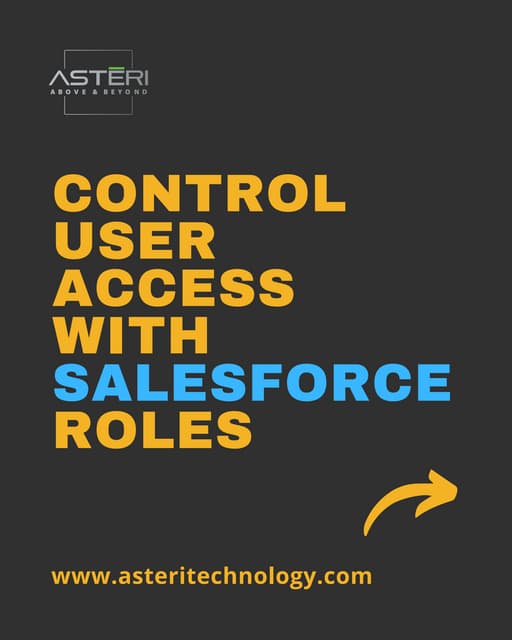 Control User Access With Salesforce Roles Pdf