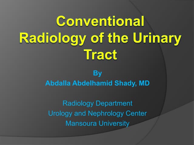 Intravenous urography (IVU) | PDF