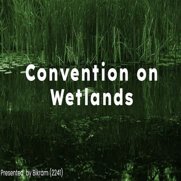 Convention on Wetland with releavnat examples | PDF