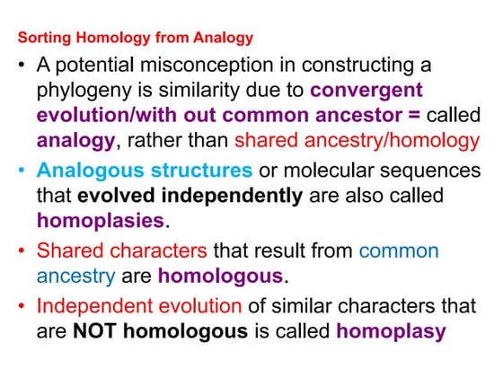 Cladogram.pptx | Biological Sciences | Science
