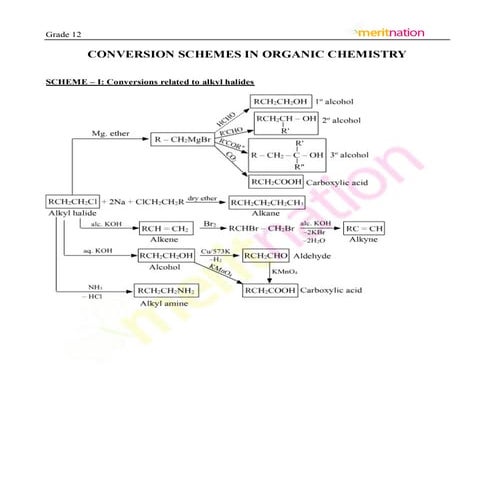 Conversion-Schemes-in-Organic-Chemistry_by_Meritnation.pdf | Chemistry ...