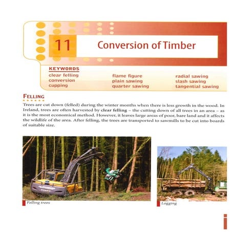 conversion_of_timber.pdf basic woods theory | PDF