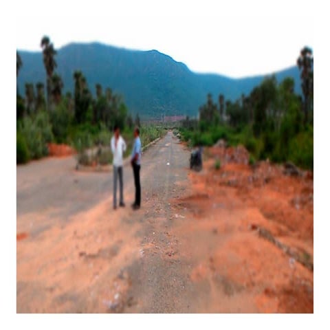 40 Acres Agricultural Land for sale in Arilova Visakhapatnam Andhra ...