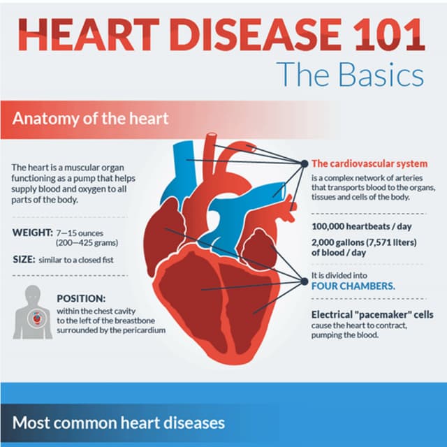 Basic Prevention of Heart Disease | PDF