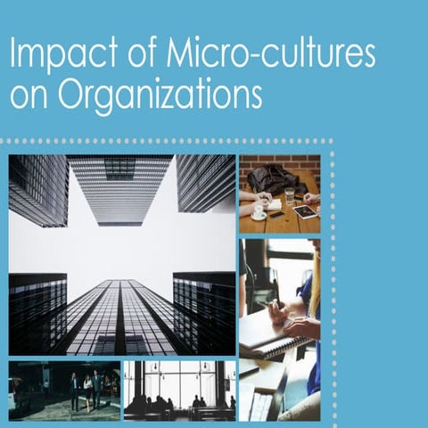 Impact of Micro-cultures on Organizations | PDF