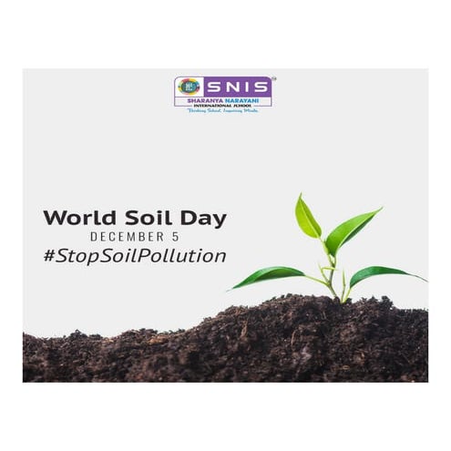 World Soil Day! | PDF