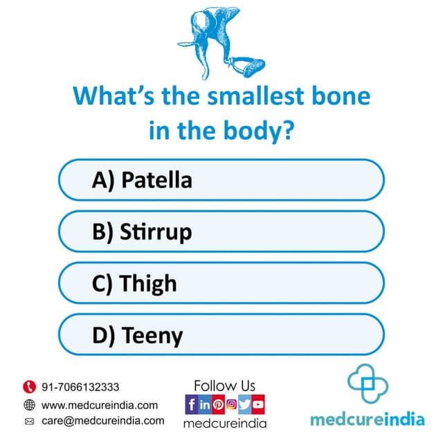 What's the smallest bone in the body? | PDF