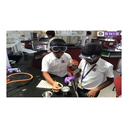 Project Based Learning at SNIS | PDF