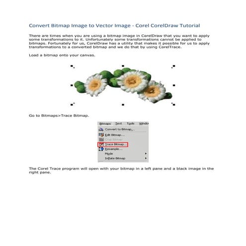 Convert bitmap image to vector image | PDF