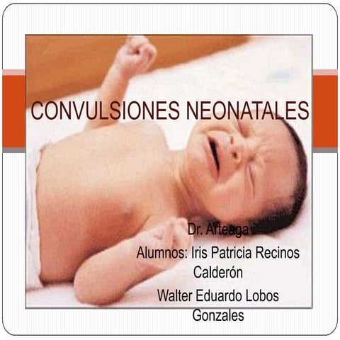 Convulsiones neonatales dr. artiaga | PPTX