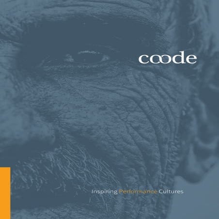 Coode Associates Brochure (2019) | PDF