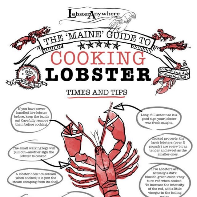 Guide to Cooking Lobsters MAINE Style | PDF
