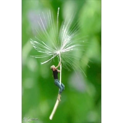 Hubble - Blade Runner | PPS