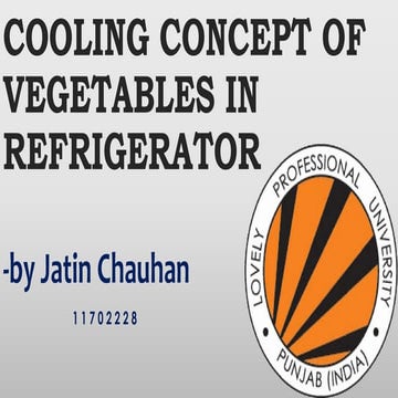 COOLING CONCEPT OF VEGETABLES IN REFRIGERATOR | PDF