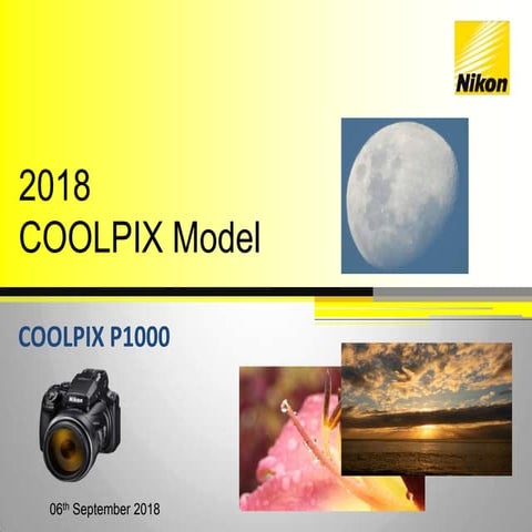 Nikon Coolpix P1000 | PDF