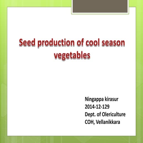 Seed production of cool season vegetables | PPTX