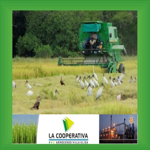 RABOBANK WILLY LUDEKE REFLEXION | DOCX