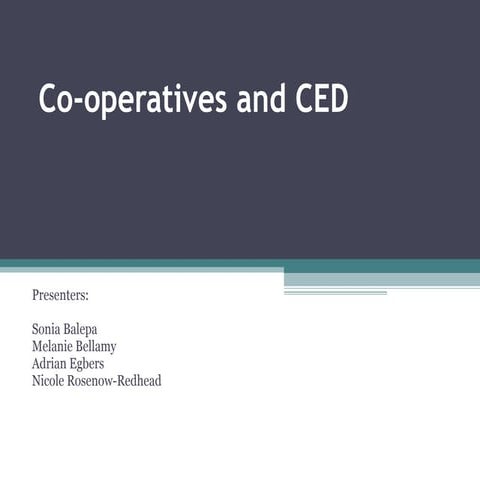 Co Operatives And Ced Final | PPT | Large Business | Business