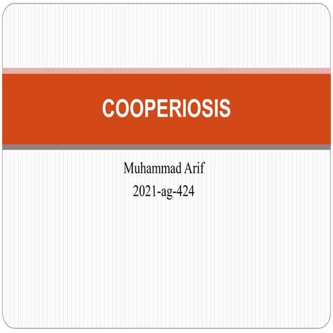 cooperia. Muhammad Arif 2021-ag-424.pptx
